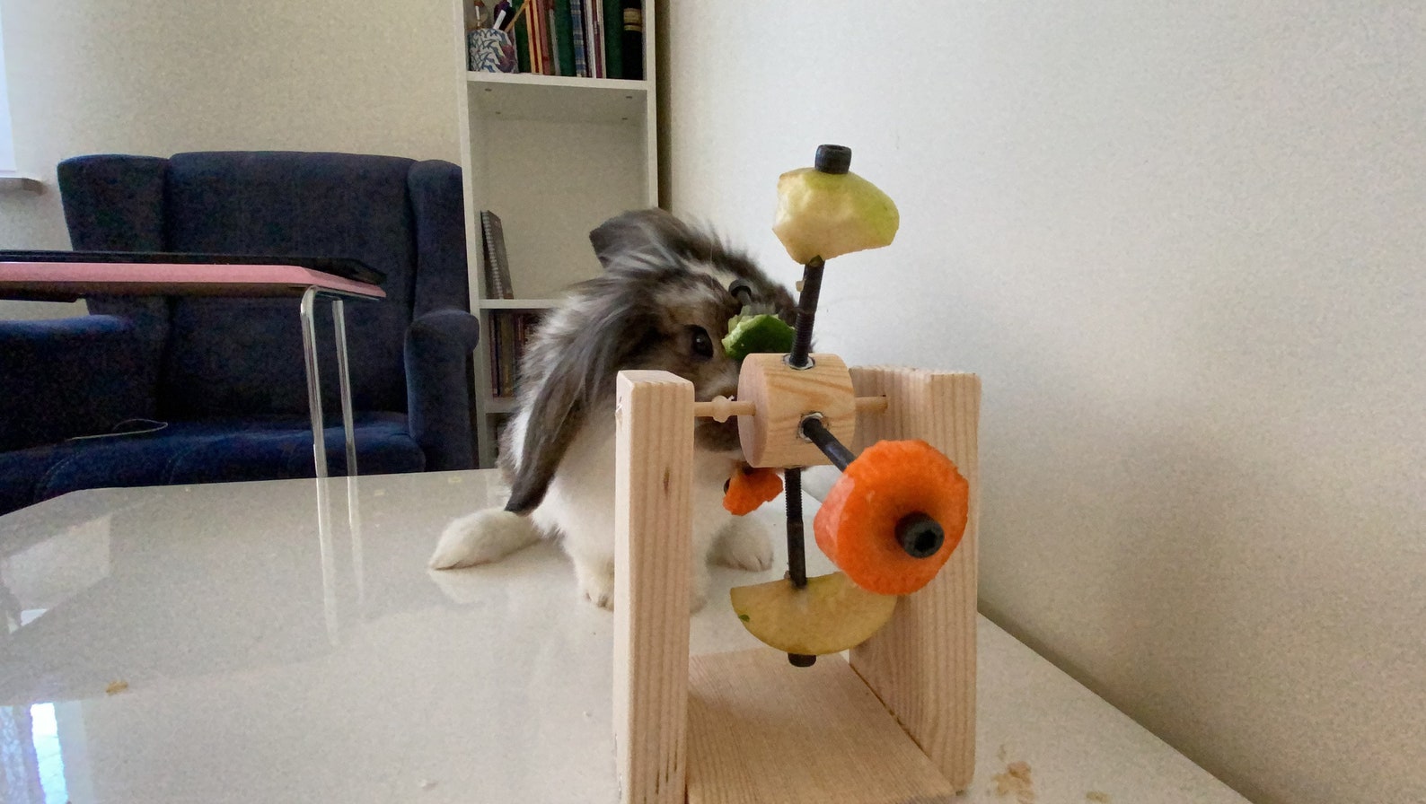 Rotating Rabbit Feeder Toy Rabbit Food Holder Rabbit Food | Etsy UK