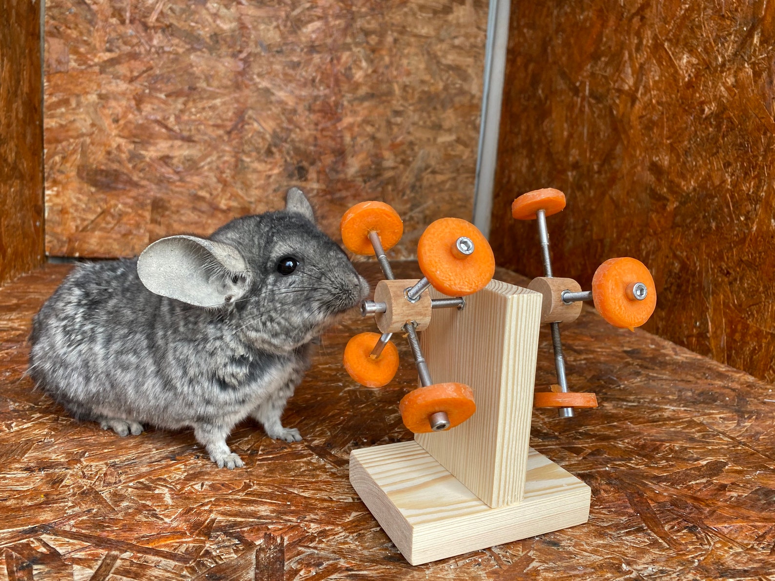 Chinchilla Feeder Wheel Toy Chinchilla Cage Accessories | Etsy