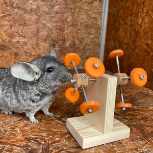 Chinchilla Feeder Wheel Toy, Chinchilla Cage Accessories, Chinchilla ...