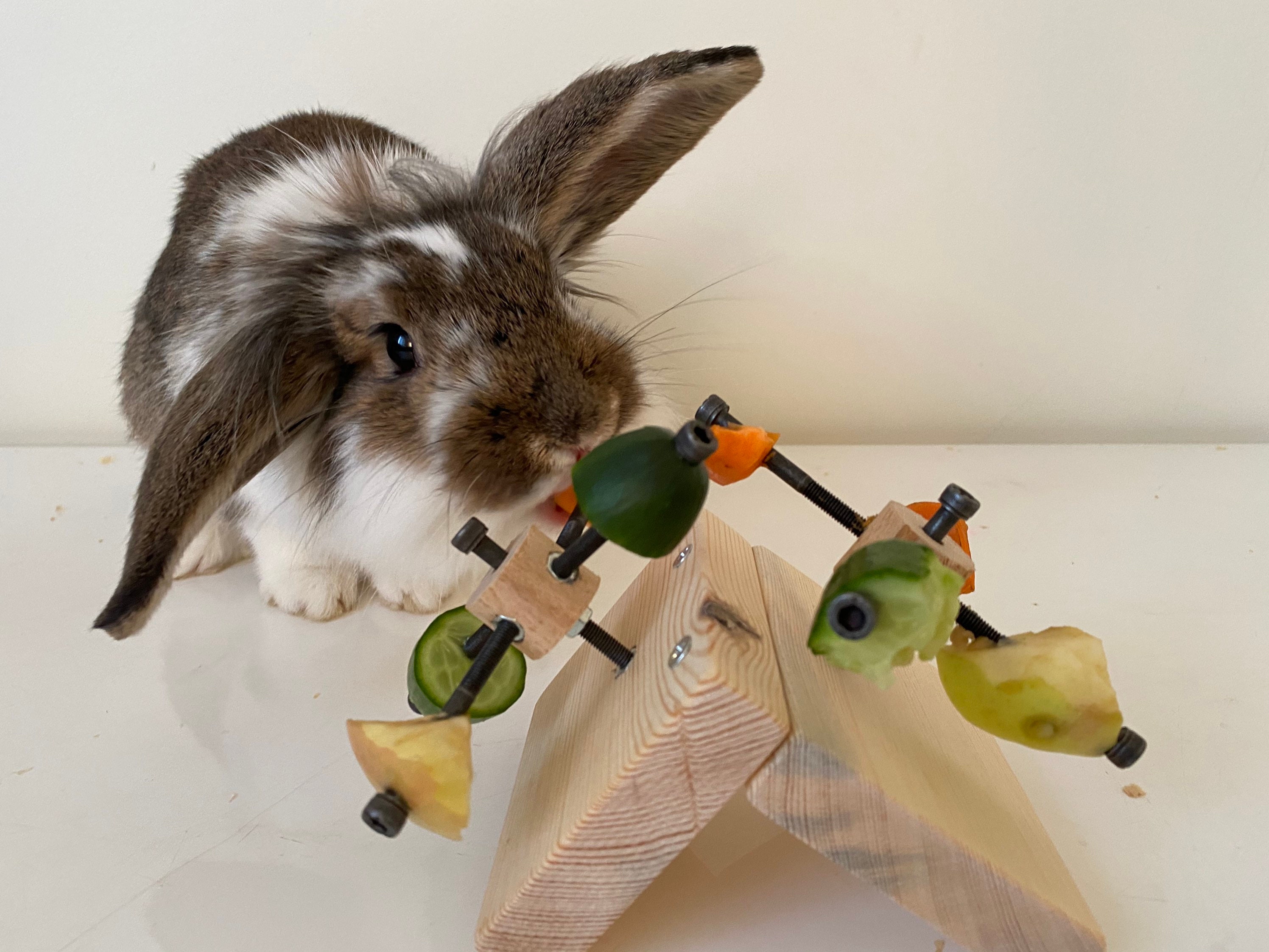 Rabbit Feeder Toy Rabbit Wood Toy Rotating Rabbit Toy Bunny | Etsy