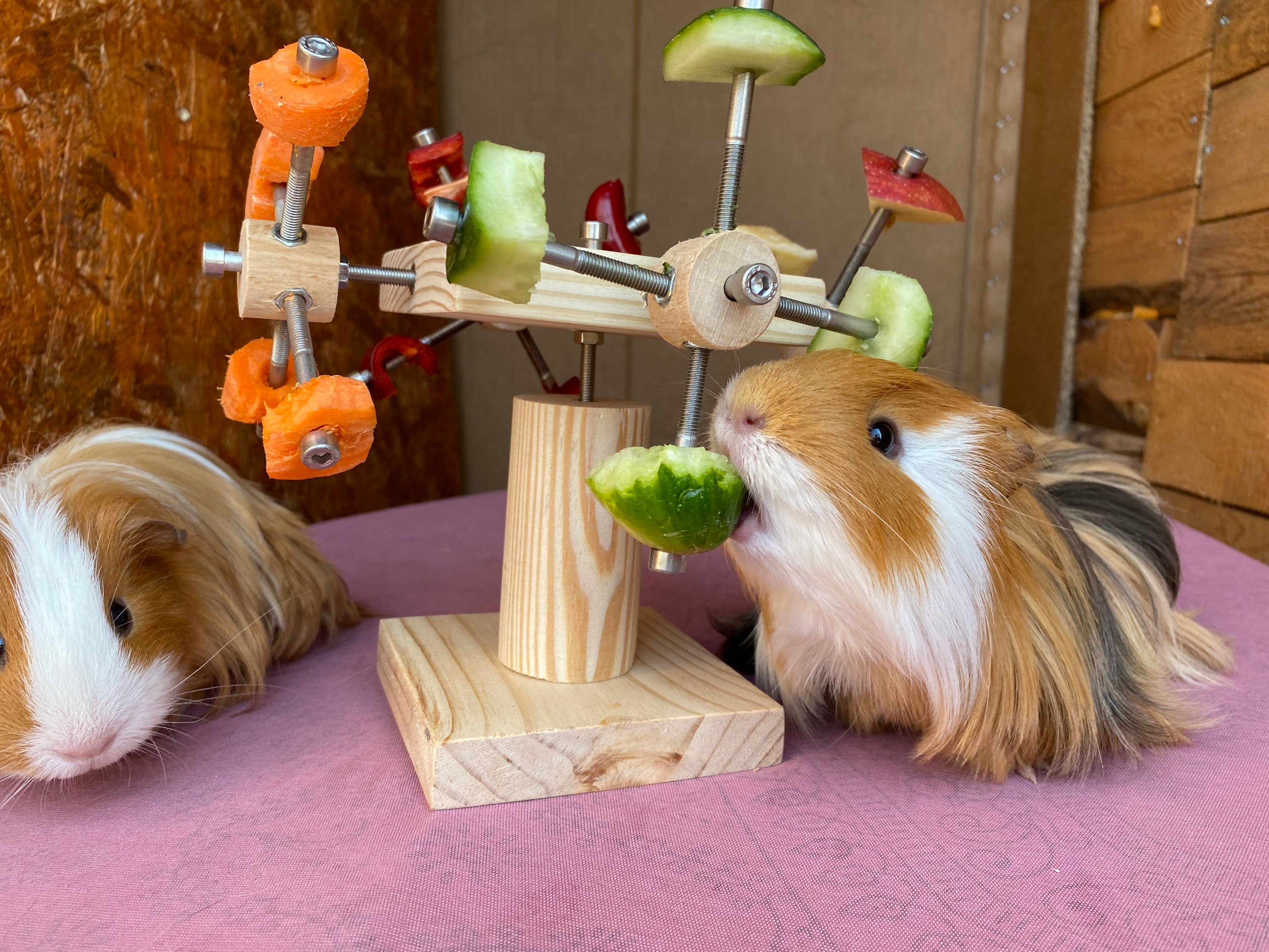 Guinea Pig Toy Cavy Toy Play Toy Guinea Pig Cage Guinea - Etsy Australia