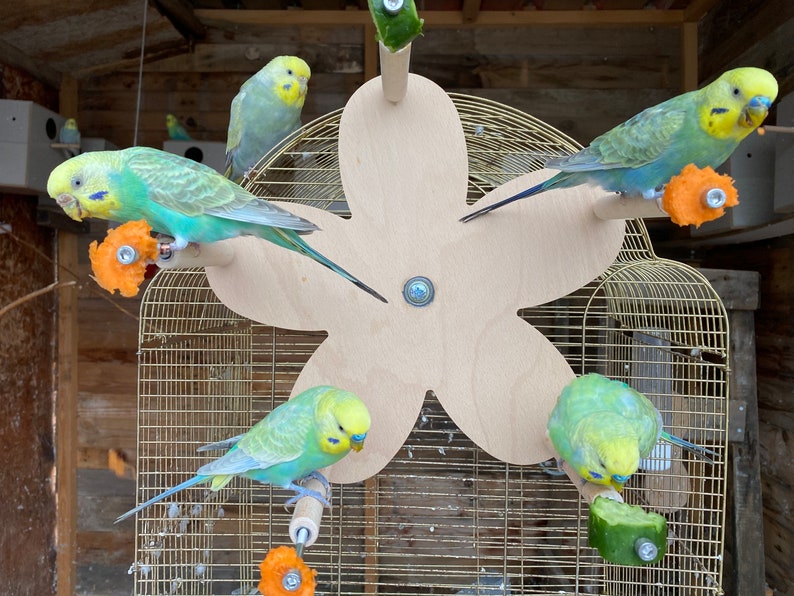 Flower Ferris Wheel Toy With 5 Perches for Birds Feeder Food - Etsy