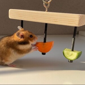 Hamster Food Hanging Toy, Food Holder, Feeder Toy - Etsy