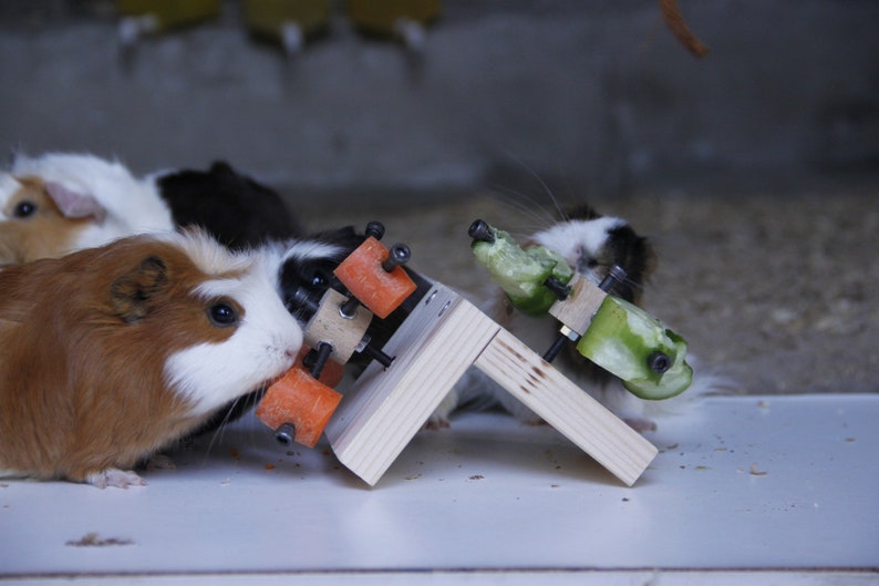 Pyramid Wheel Feeder Toy Guinea Pig Toy Rabbit Toy Hamster | Etsy