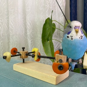 Rotating Bird Feeder Toy, Budgie Toy, Budgerigar Toy, Parakeet Toy ...