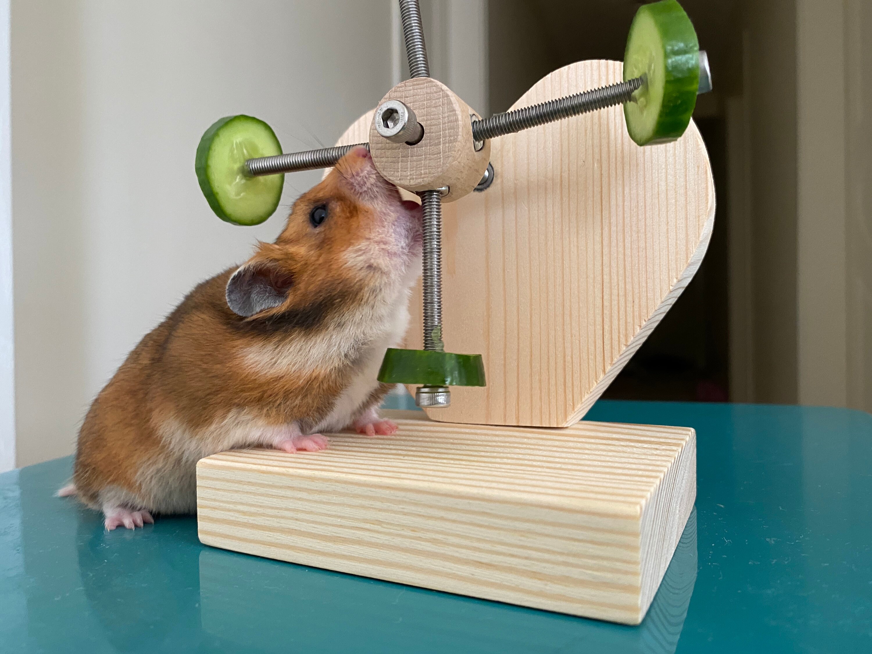 Heart Shape Hamster Treat Feeder Toy Wheel Food holder | Etsy