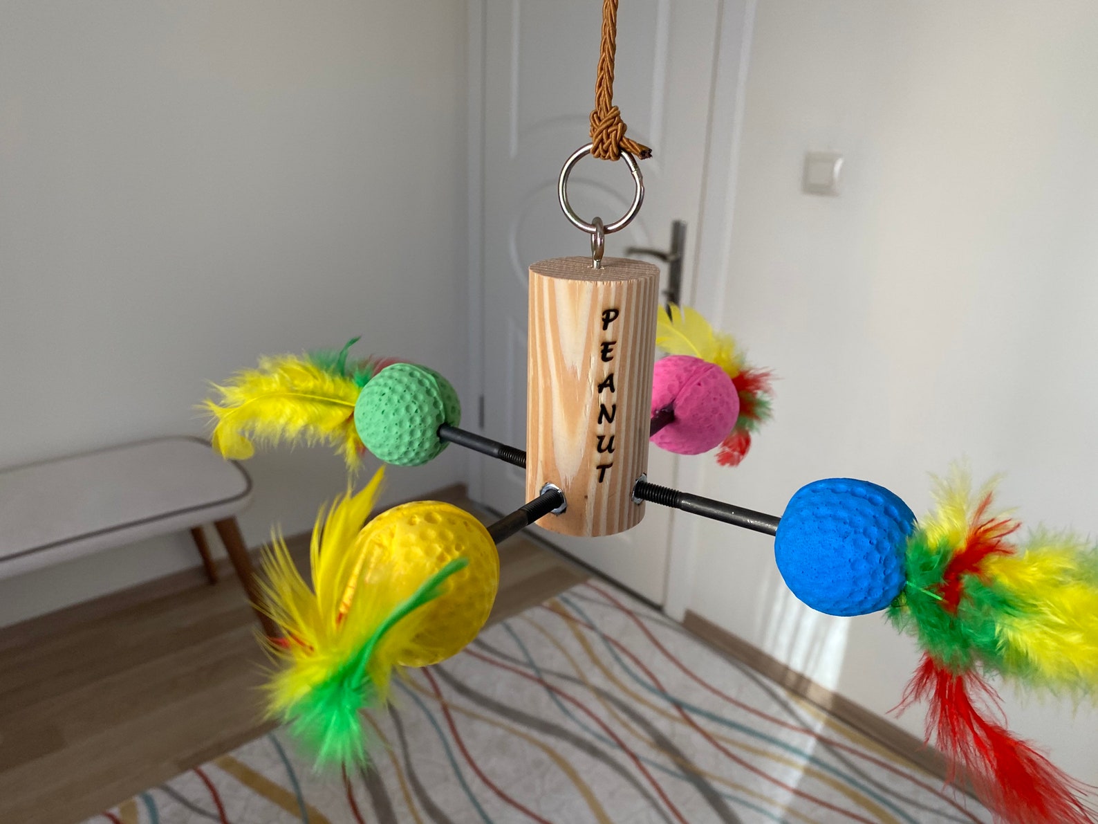 Custom Cylinder Rotating Cat Exercise Toy Cat Wheel Cat - Etsy