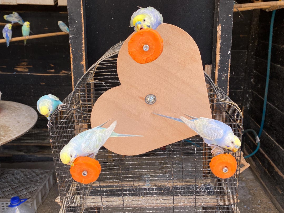Heart Shaped Bird Ferris Wheel Toy – Wooden Cage Accessory for Budgies ...