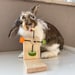 Rabbit Wheel,rabbit Feeder Toy, Rabbit Accessories, Rabbit Wood, Rabbit ...