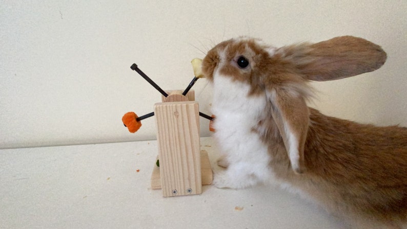 Rotating Rabbit Feeder Toy Rabbit Food Holder Rabbit Food | Etsy