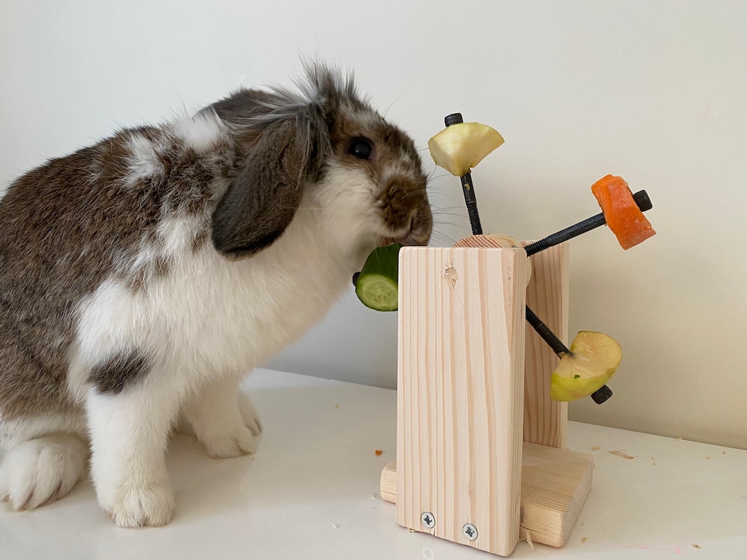 Rotating Rabbit Feeder Toy, Rabbit Food Holder, Rabbit Food, Rabbit ...