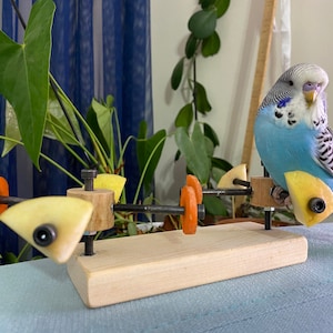 Rotating Bird Feeder Toy, Budgie Toy, Budgerigar Toy, Parakeet Toy ...