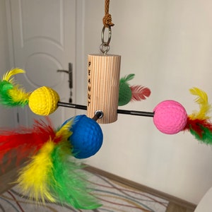 Custom Cylinder Rotating Cat Exercise Toy, Cat Wheel, Cat Accessories ...