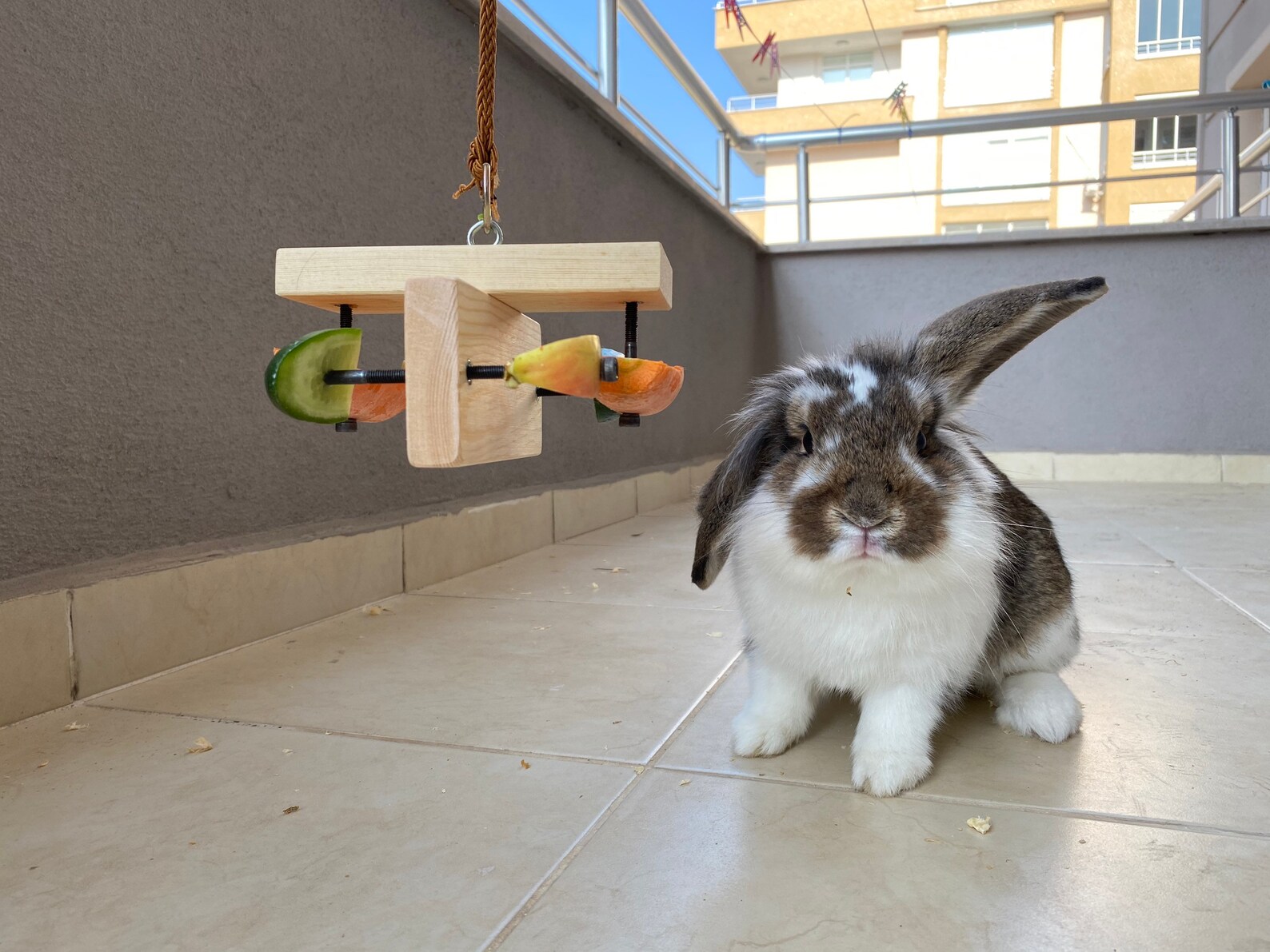 Rabbit Food Hanging Toy, Personalized Bunny Toys, Food Holder, Feeder ...