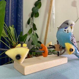 Rotating Bird Feeder Toy, Budgie Toy, Budgerigar Toy, Parakeet Toy ...