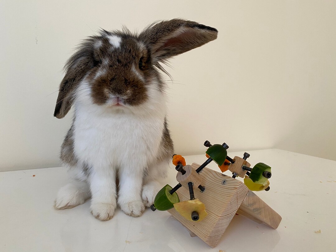 Rabbit Feeder Toy, Rabbit Wood Toy, Rotating Rabbit Toy, Bunny Toy ...
