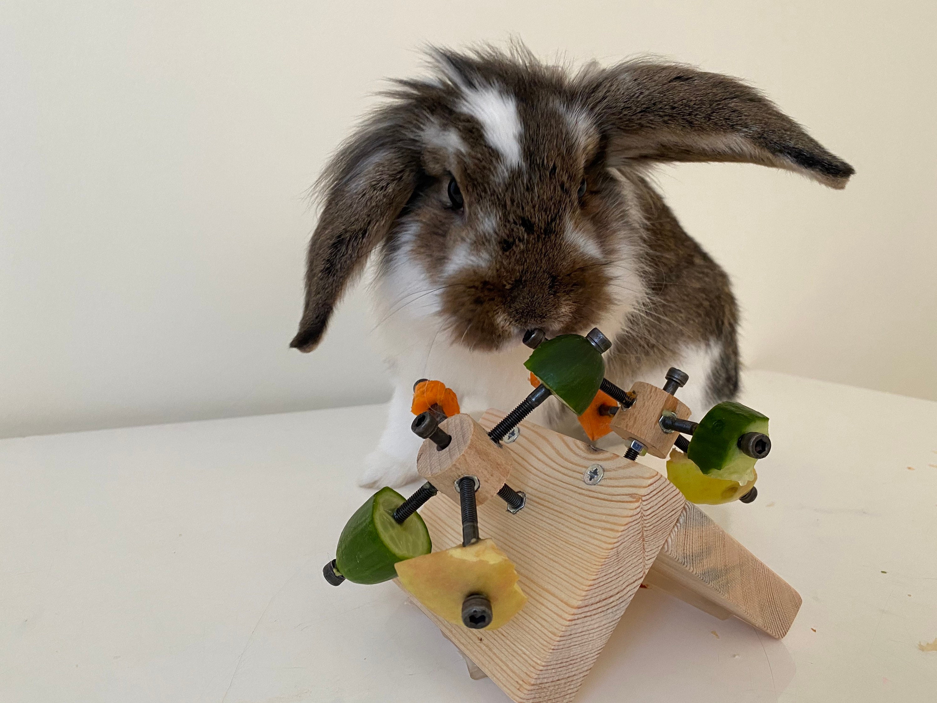 Rabbit Feeder Toy Rabbit Wood Toy Rotating Rabbit Toy Bunny | Etsy