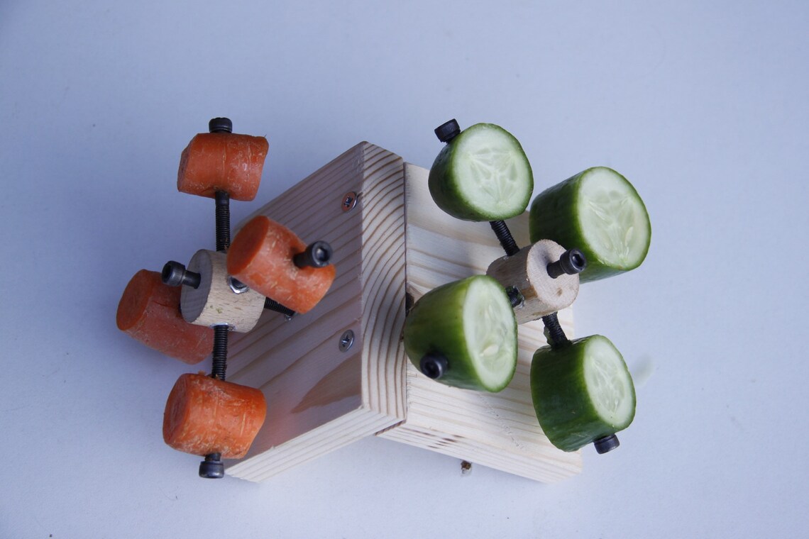 Pyramid Wheel Feeder Toy Guinea Pig Toy Rabbit Toy Hamster - Etsy