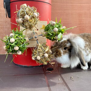Rotating 4 Hay Balls for Rabbits, Rabbit Hay Feeder Toy, Bunny Cage ...
