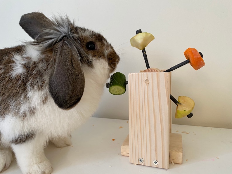 Rotating Rabbit Feeder Toy Rabbit Food Holder Rabbit Food | Etsy
