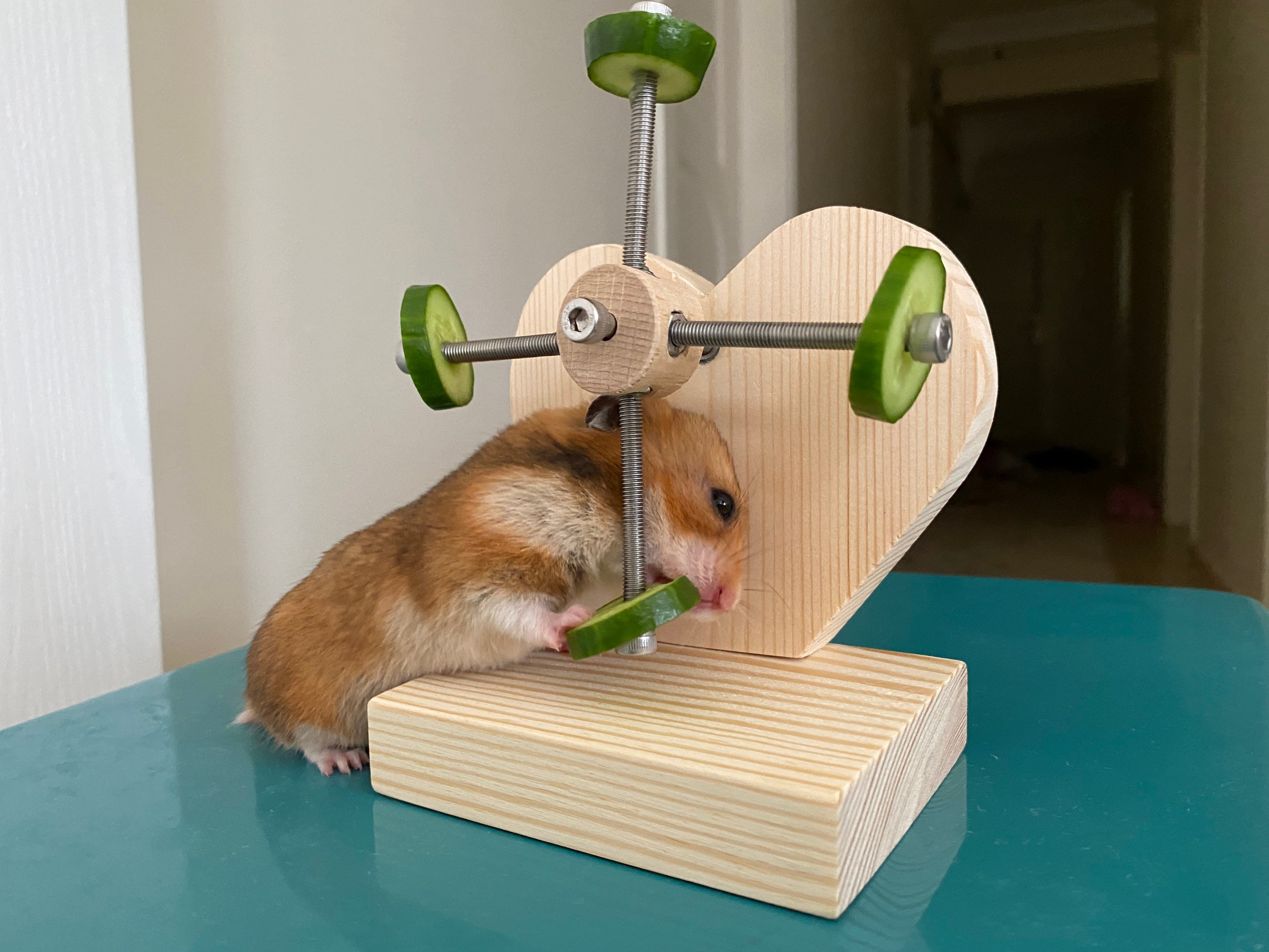 Heart Shape Hamster Treat Feeder Toy Wheel Food holder | Etsy