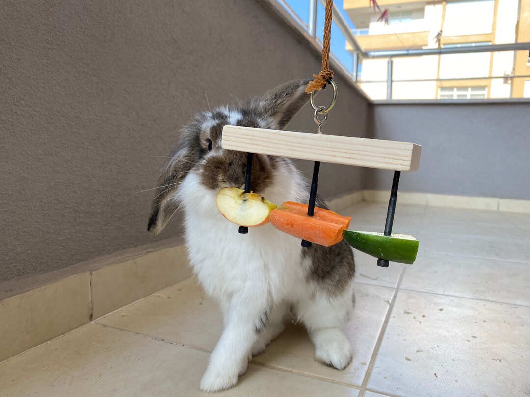 Rabbit Food Hanging Toy, Food Holder for Bunnies, Bunny Toys, Rabbit ...
