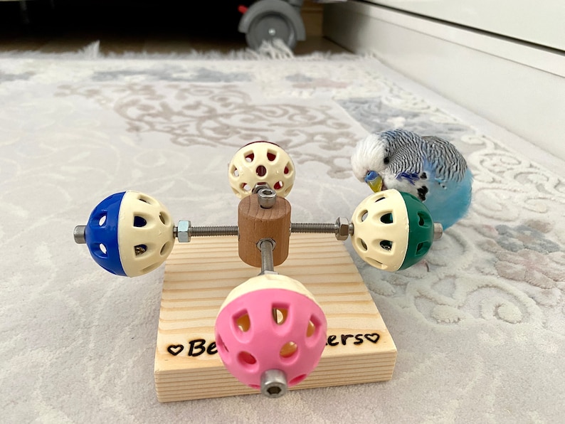 Personalized Rotating Balls Toy for Birds With Bell, Budgie Toy ...