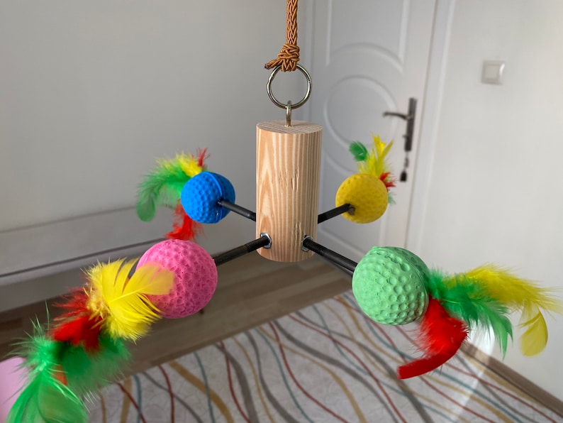 Custom Cylinder Rotating Cat Exercise Toy Cat Wheel Cat - Etsy