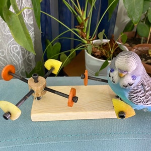 Rotating Bird Feeder Toy, Budgie Toy, Budgerigar Toy, Parakeet Toy ...