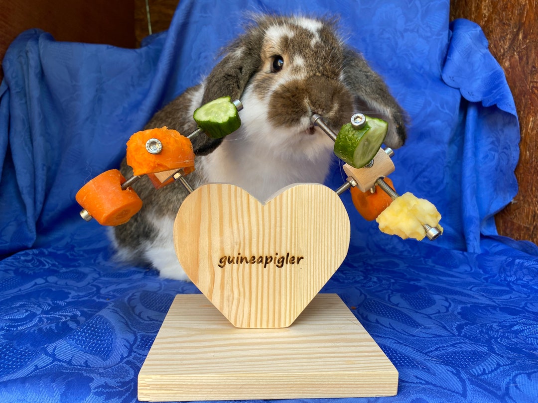 Personalized Heart Shape Rabbit Toys, Rabbit House Treat, Rotating ...