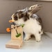 Rabbit Wheel,rabbit Feeder Toy, Rabbit Accessories, Rabbit Wood, Rabbit ...