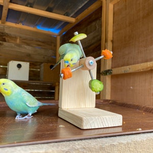 Fresh Food Holder Toy for Birds, Eat and Play Wheel for Budgie ...