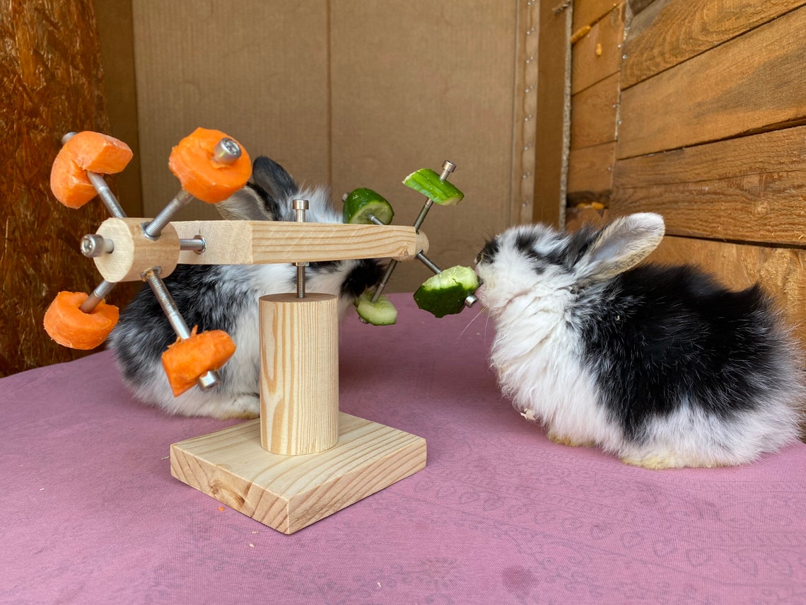Rabbit feeder stand rabbit toy rabbit wheel chewing wood | Etsy