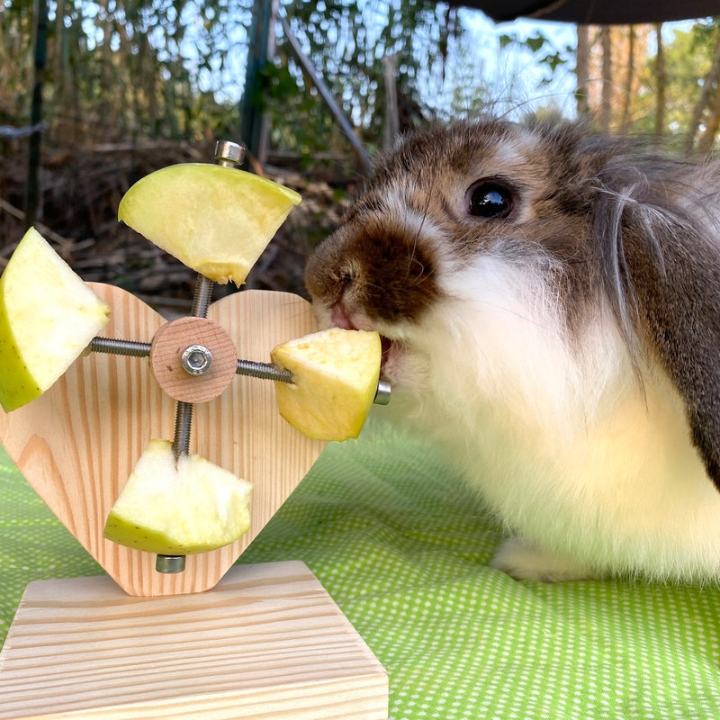 Rabbit Cage Liner - Etsy