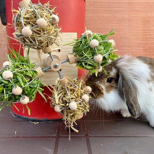 Rotating 4 Hay Balls for Rabbits, Rabbit Hay Feeder Toy, Bunny Cage ...