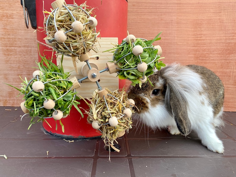 Rotating 4 Hay Balls for Rabbits, Rabbit Hay Feeder Toy, Bunny Cage ...