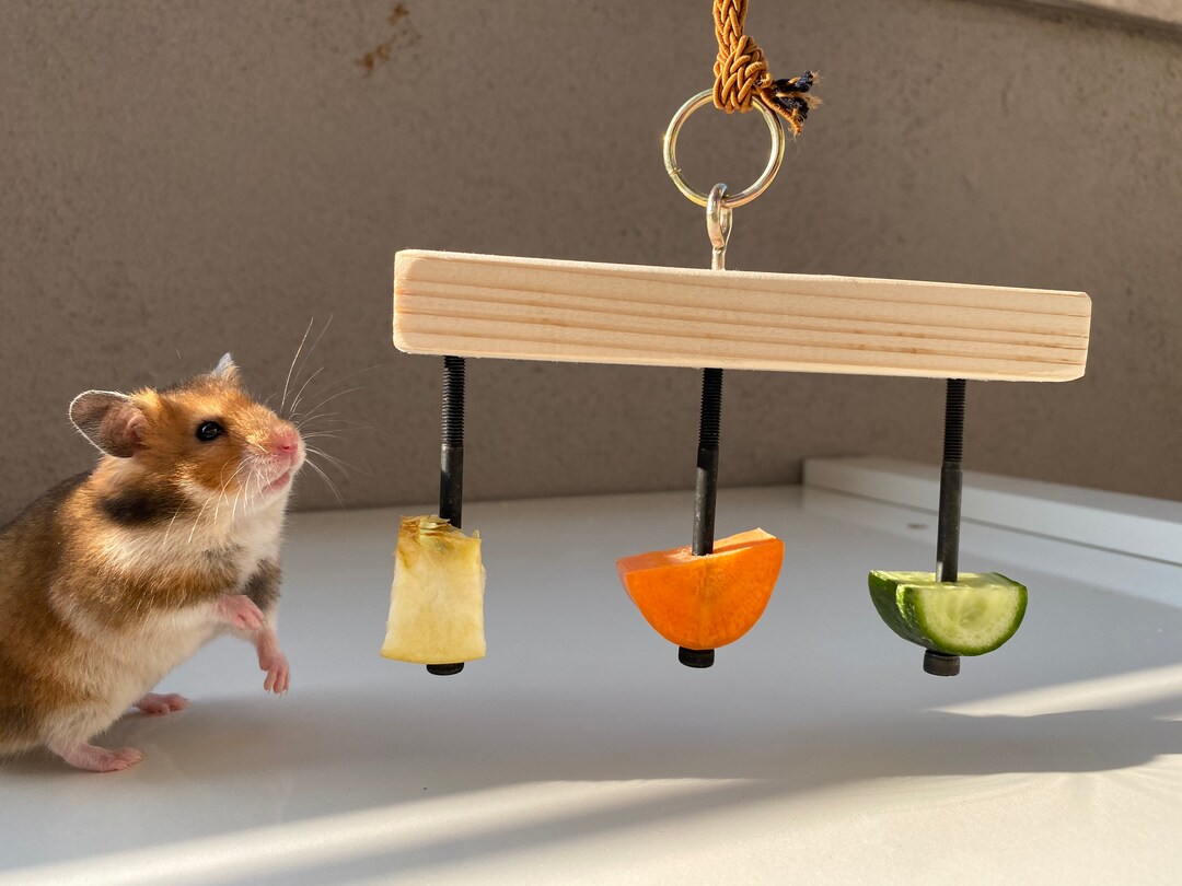 Hamster Food Hanging Toy, Food Holder, Feeder Toy - Etsy