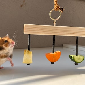 Hamster Food Hanging Toy, Food Holder, Feeder Toy - Etsy