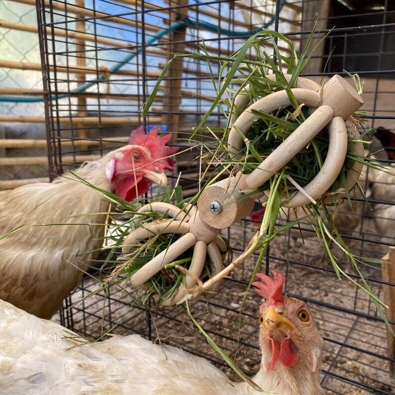 Spinning Feeder Ball Toy: Chicken Coop Enrichment, Food Holder - Etsy
