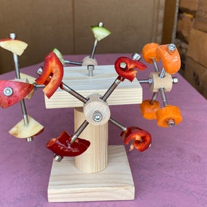 4 Wheel Rabbit Food Stand Toy, Bunny Toy, Feeder, Wooden Cage Play ...