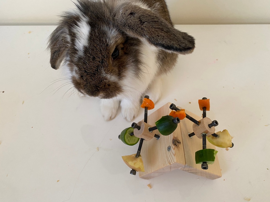 Rabbit Feeder Toy rabbit wood toy rotating rabbit toy bunny | Etsy