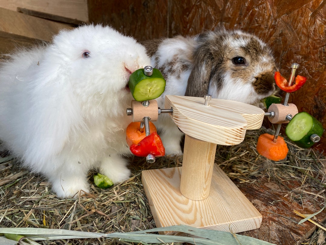 Rotating Heart Rabbit Toy: Foraging Feeder, Cage Accessory - Etsy