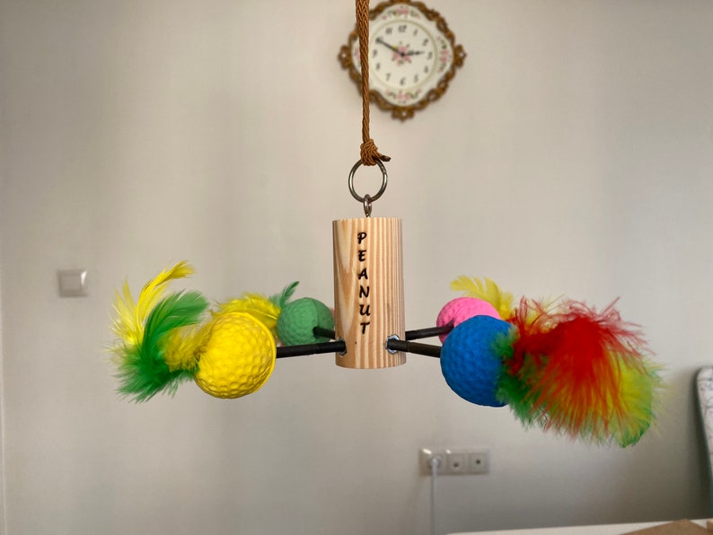 Custom Cylinder Rotating Cat Exercise Toy Cat Wheel Cat - Etsy