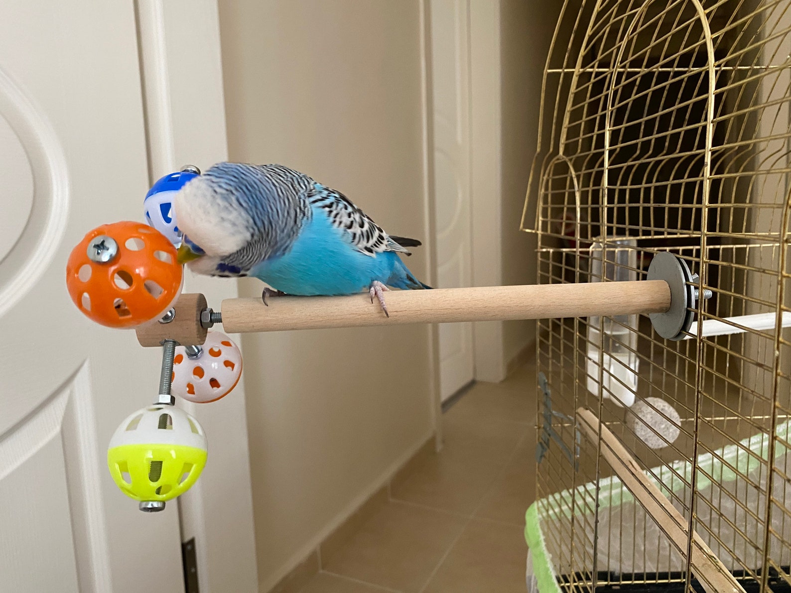Perch Toy With Rotating Balls for Budgies, Budgerigars, Parakeets ...