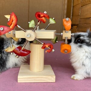 4 Wheel Rabbit Food Stand Toy, Bunny Toy, Feeder, Wooden Cage Play ...