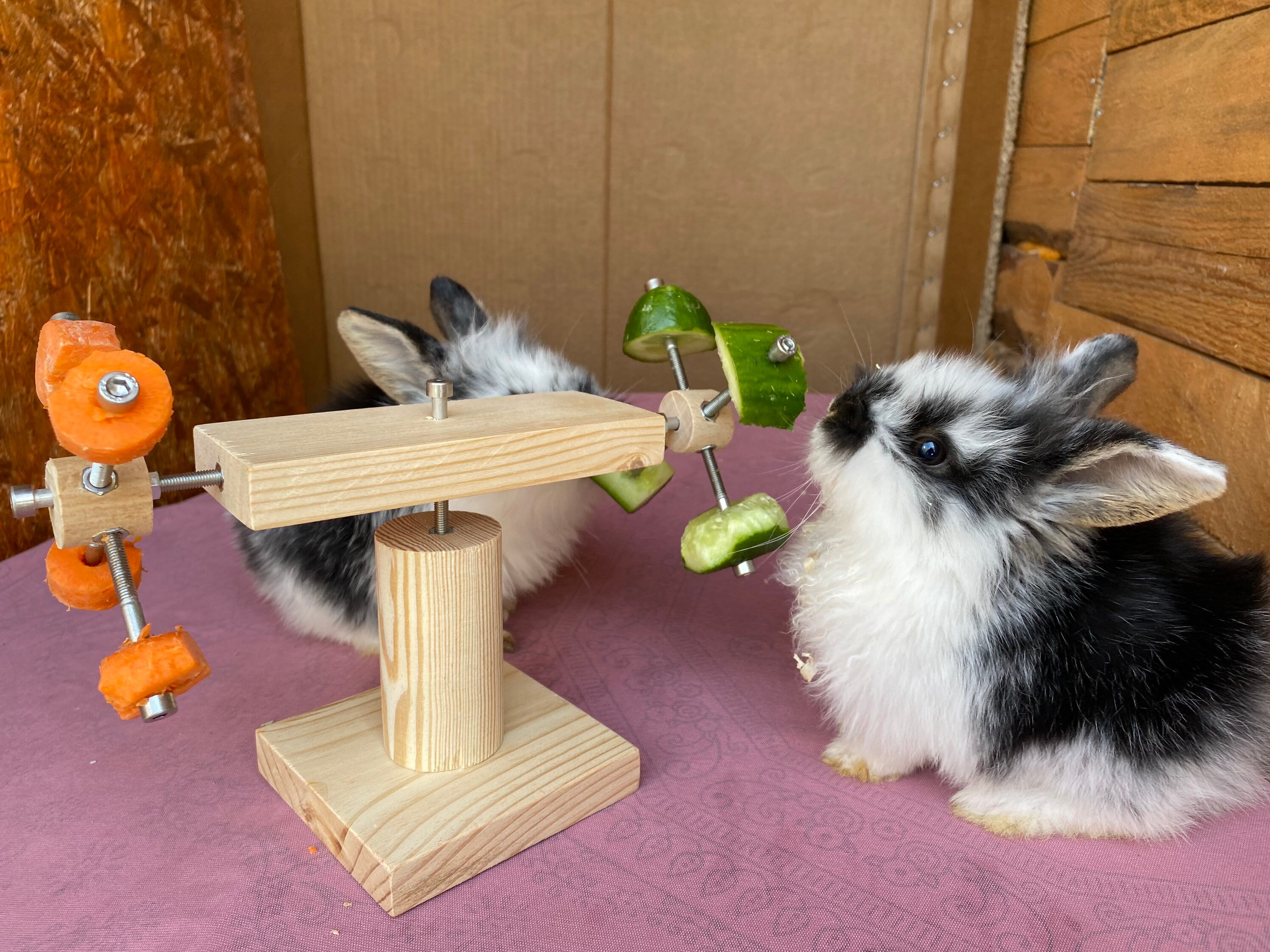 Rabbit feeder stand rabbit toy rabbit wheel chewing wood | Etsy