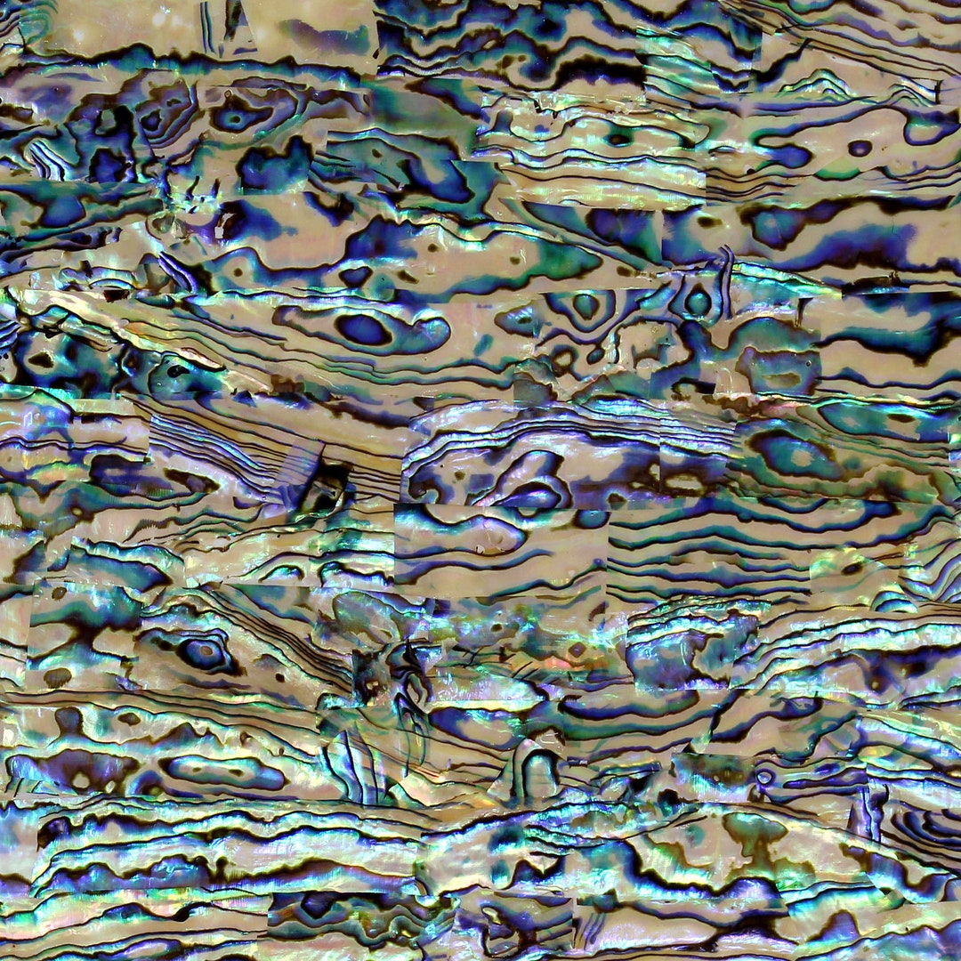 Natural, Light Abalone Shell Veneer 5.5" X 9.5" for Inlay, Laser ...