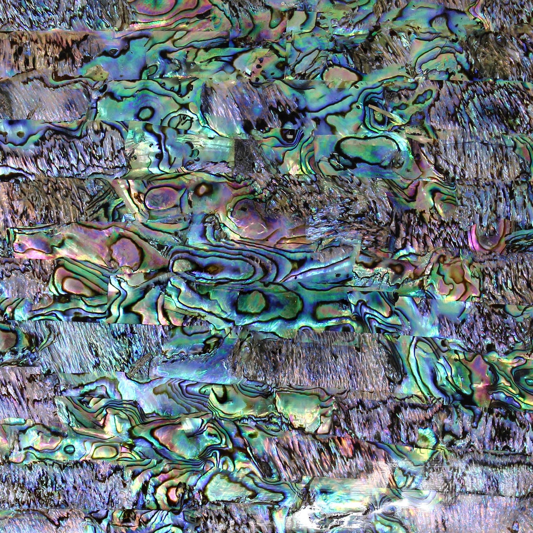 Natural, Opal Abalone Shell Veneer 5.5" X 9.5" for Inlay, Laser, Crafts ...