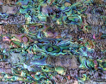 Pearl Natural Gray Metallic Abalone Shell Veneer 5.5 X 9.5 for Inlay ...