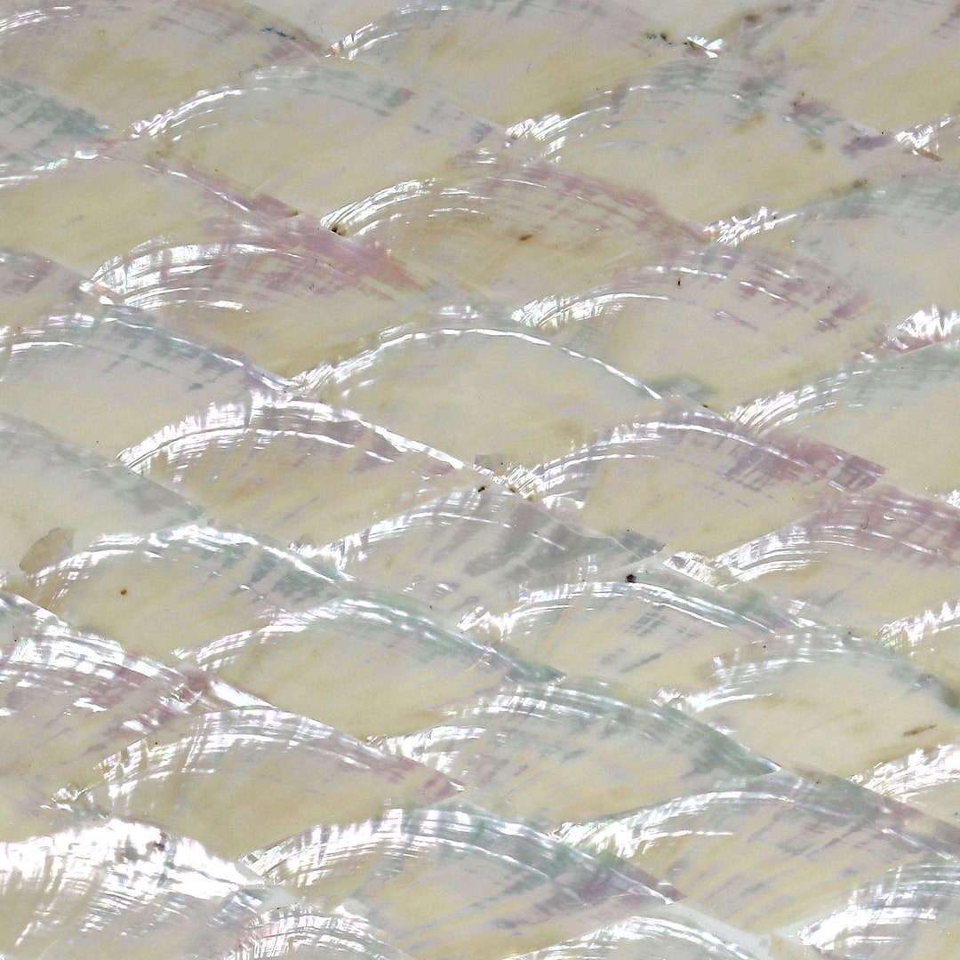 Pearl Natural Abalone Shell Veneer 5.5" X 9.5" for Inlay, Laser, Crafts ...